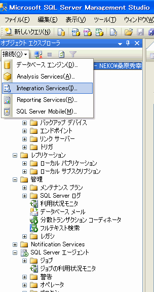 SQLServer2005の構築でハマる: 猫じゃらし思考的日常